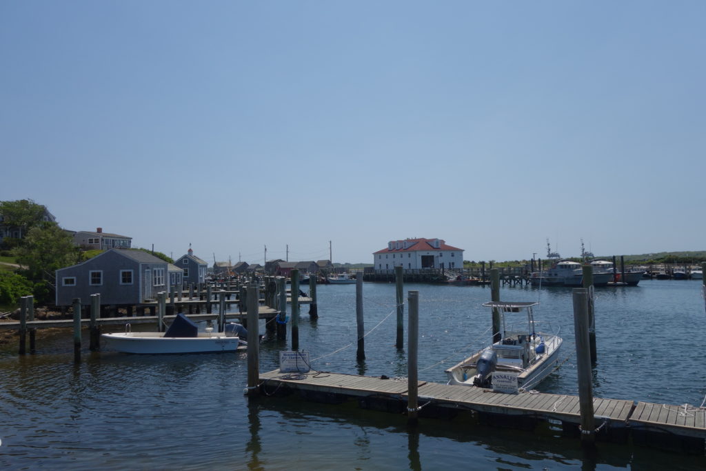 ‘Jaws’ sights on Martha’s Vineyard | MeierMovies : MeierMovies