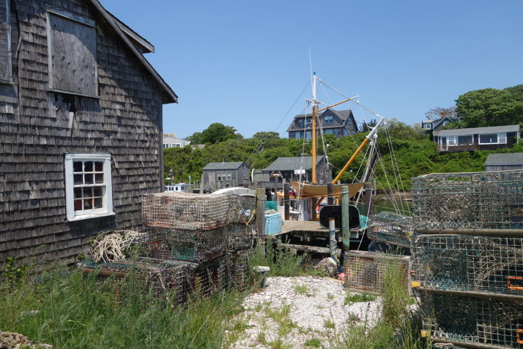 ‘Jaws’ sights on Martha’s Vineyard | MeierMovies : MeierMovies