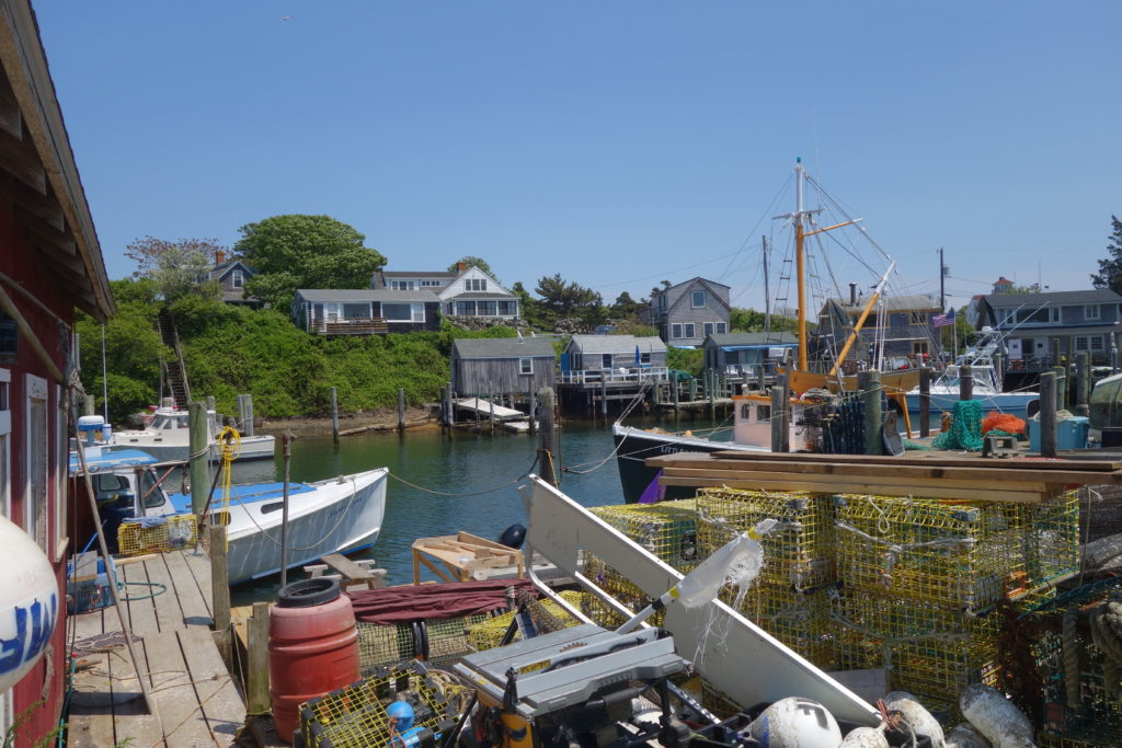 ‘Jaws’ sights on Martha’s Vineyard | MeierMovies : MeierMovies
